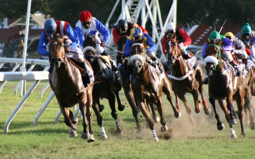 Barbados Turf Club - Totally Barbados